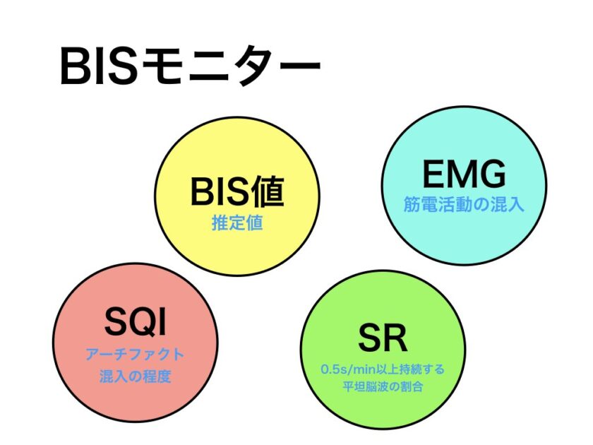 BIS | 麻酔科1年生