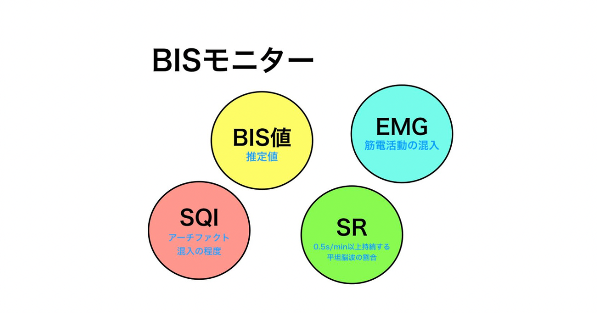 BIS | 麻酔科1年生